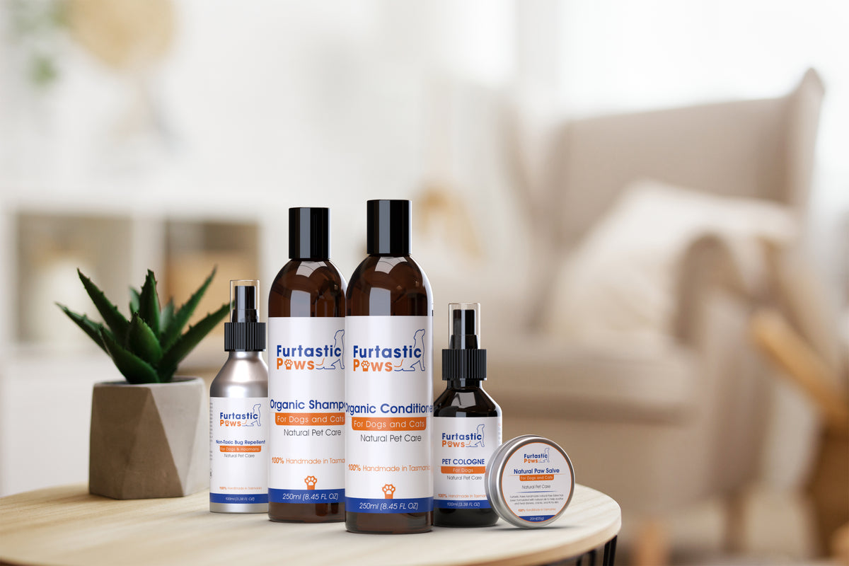 Furtastic Paws Natural Paw Salve | Furtastic Paws